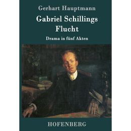 Hofenberg Gabriel Schillings Flucht