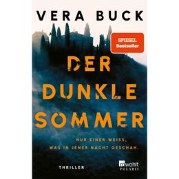 Der dunkle Sommer
