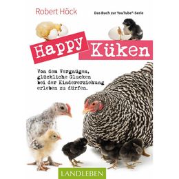 Happy K&uuml;ken . Das Buch zur YouTube-Serie