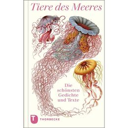 Tiere des Meeres