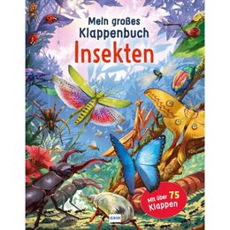 Mein gro&szlig;es Klappenbuch - Insekten