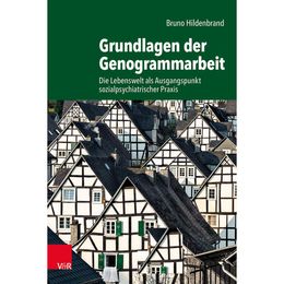 Grundlagen der Genogrammarbeit
