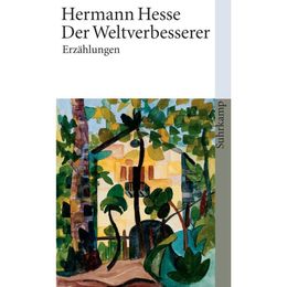 Der Weltverbesserer