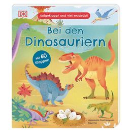 Dorling Kindersley Aufgeklappt und viel entdeckt! Bei den Dinosauriern
