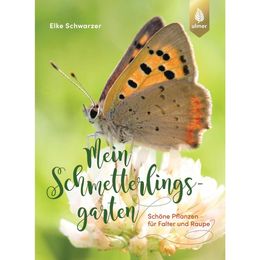 Mein Schmetterlingsgarten