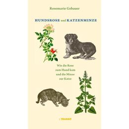 Hundsrose und Katzenminze