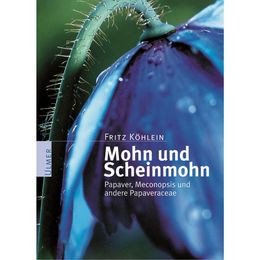Mohn und Scheinmohn