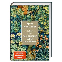 Weisheiten aus &raquo;Das geheime Leben der B&auml;ume&laquo;