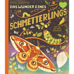 Das Wunder eines Schmetterlings - Wie sich die Natur verwandelt