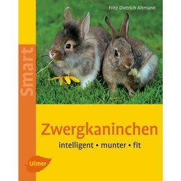 Zwergkaninchen. Heimtiere halten