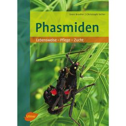 Phasmiden