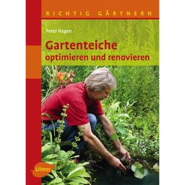 Gartenteiche optimieren und renovieren