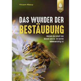 Das Wunder der Best&auml;ubung