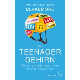 Das Teenager-Gehirn