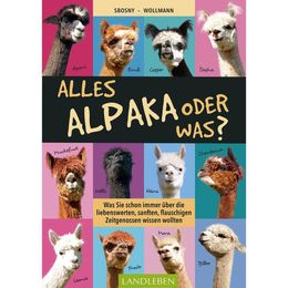 Alles Alpaka - oder was?