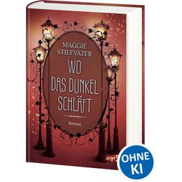 Wo das Dunkel schl&auml;ft (Band 4)