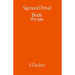 Briefe 1873-1939