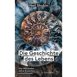 Die Geschichte des Lebens