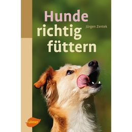 Hunde richtig f&uuml;ttern