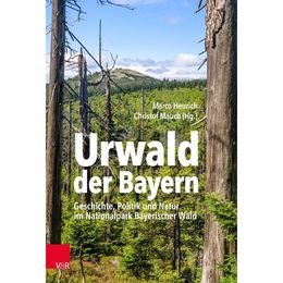Urwald der Bayern