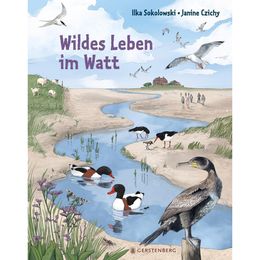 GERSTENBERG Wildes Leben im Watt