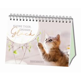 Kleine Tiger, gro&szlig;es Gl&uuml;ck!