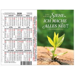 Doppel-Spielkarten-Kalender 2026