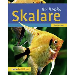 Skalare