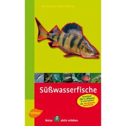 Steinbachs Naturf&uuml;hrer S&uuml;&szlig;wasserfische