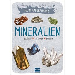 Mein Naturf&uuml;hrer - Mineralien