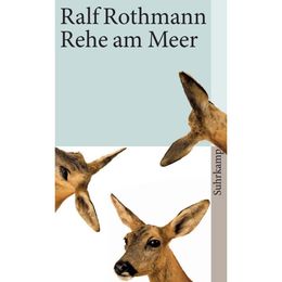 Rehe am Meer