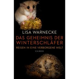 Das Geheimnis der Winterschl&auml;fer