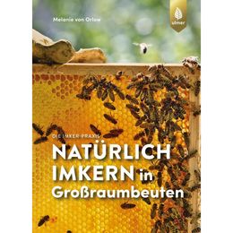Nat&uuml;rlich imkern in Gro&szlig;raumbeuten