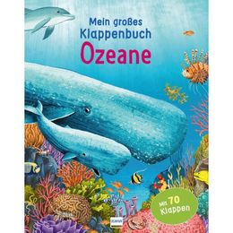 Mein gro&szlig;es Klappenbuch - Ozeane