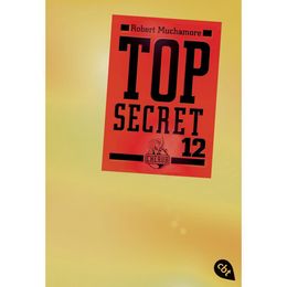 Top Secret 12 - Die Entscheidung