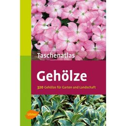 Taschenatlas Geh&ouml;lze