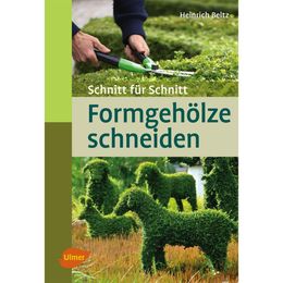 Formgeh&ouml;lze schneiden