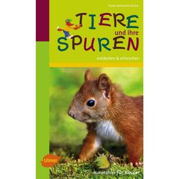 Tiere und ihre Spuren