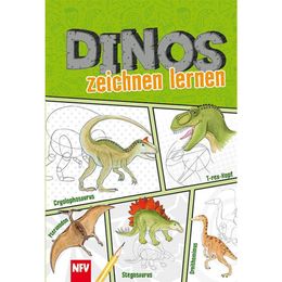 Dinos zeichnen lernen