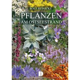 Pflanzen am Ostseestrand