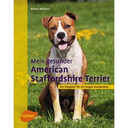 Mein gesunder American Staffordshire Terrier