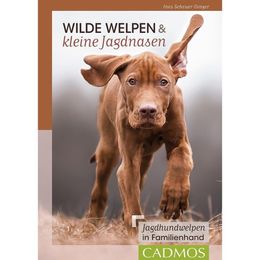 Wilde Welpen & kleine Jagdnasen