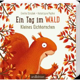 Ein Tag im Wald: Kleines Eichh&ouml;rnchen