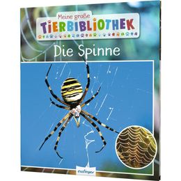 Esslinger Meine gro&szlig;e Tierbibliothek: Die Spinne