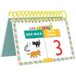 Lernraupe - Mix-Max Erste Zahlen