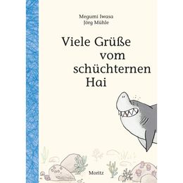 Viele Gr&uuml;&szlig;e vom sch&uuml;chternen Hai