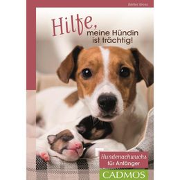 Hilfe, meine H&uuml;ndin ist tr&auml;chtig!