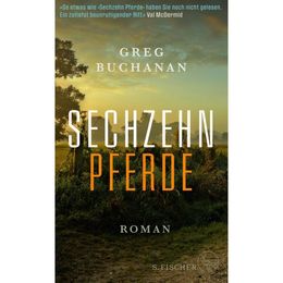 Sechzehn Pferde