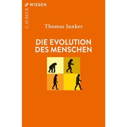 Die Evolution des Menschen