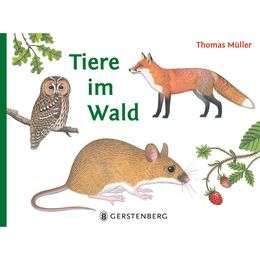 GERSTENBERG Tiere im Wald